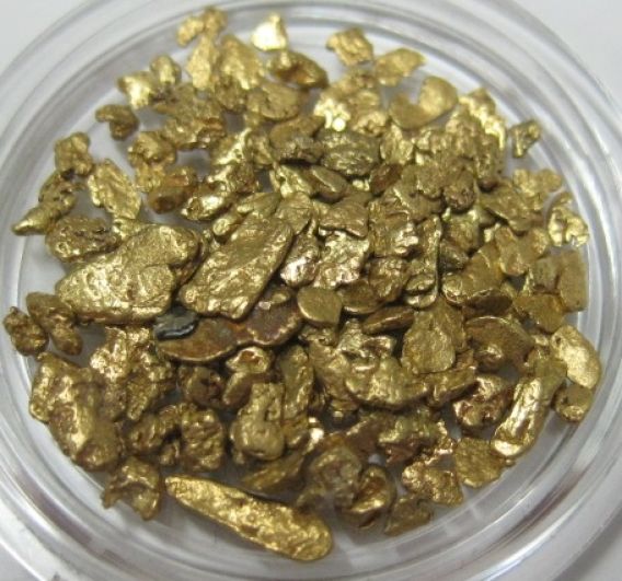 Nothing Like Raw Panned Gold Coin Community Forum Nothing Like Raw Panned Gold Coin Community Forum