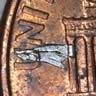 2026 Enduring Liberty "moon" - Coin Community Forum
