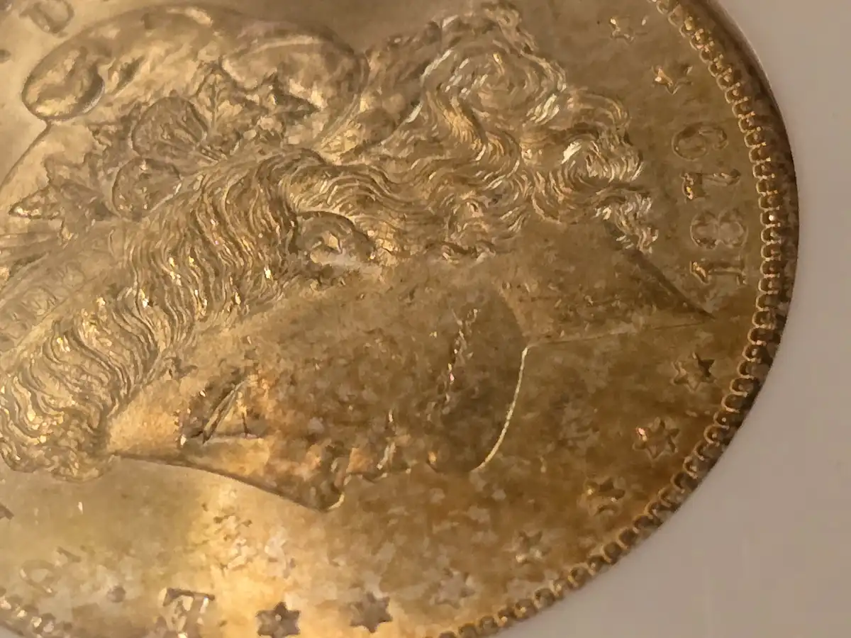 Picked Up This 1879 S Morgan From My Local LCS - Coin Community Forum