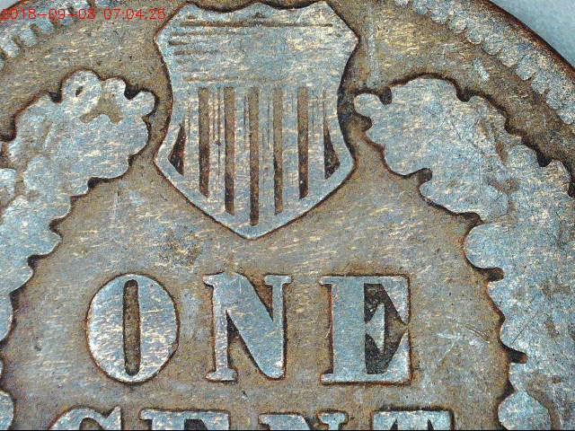 Found A 1895 Indian Head Cent - Coin Community Forum