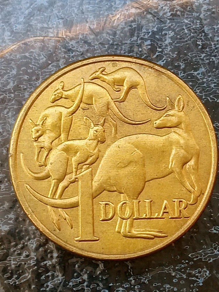 Counterfeit/Fake Of Mule, Yes They Are On Gumtree - Coin Community Forum