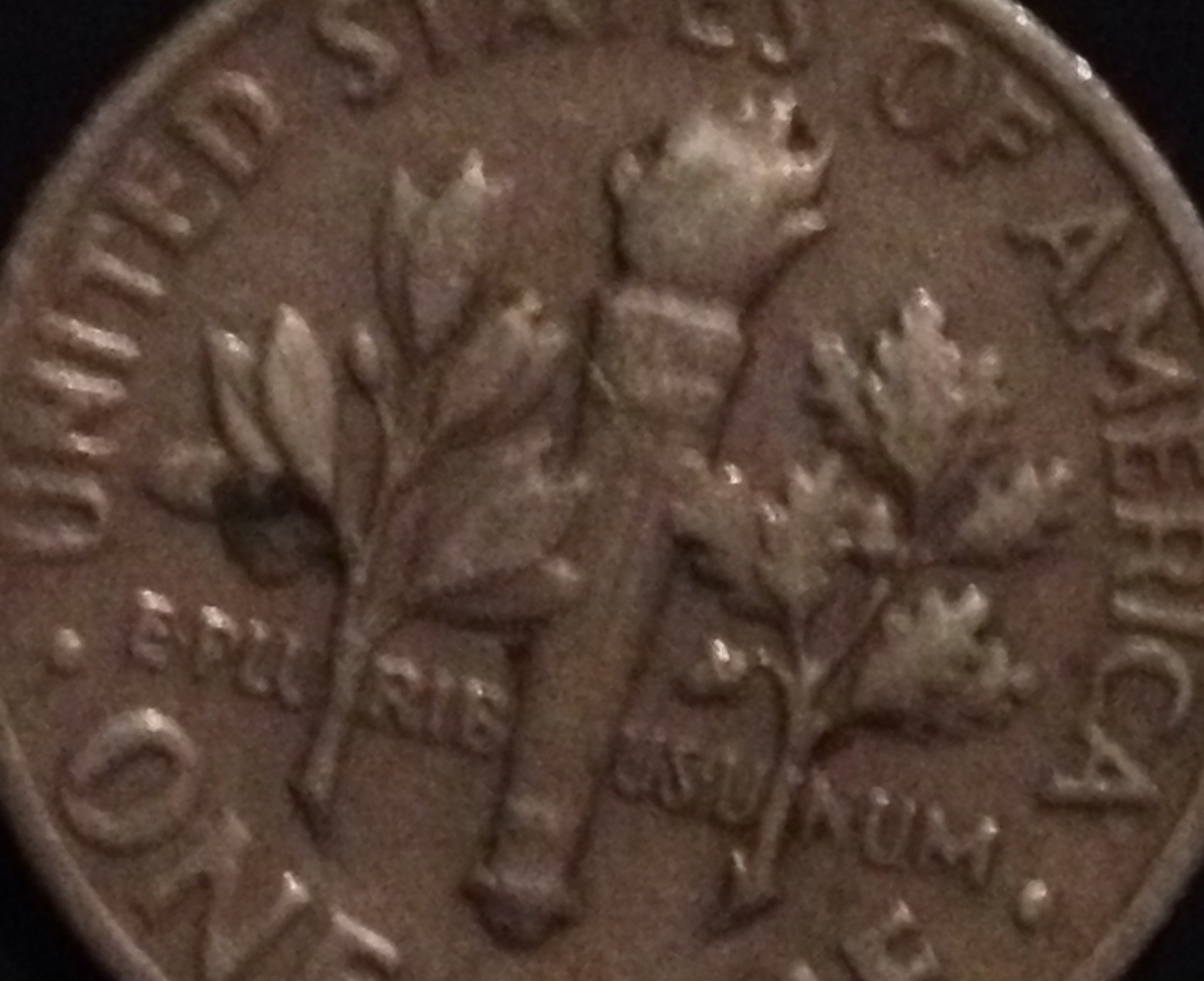 1967 Roosevelt Dime Extra Leaf On The Reverse? - Coin Community Forum