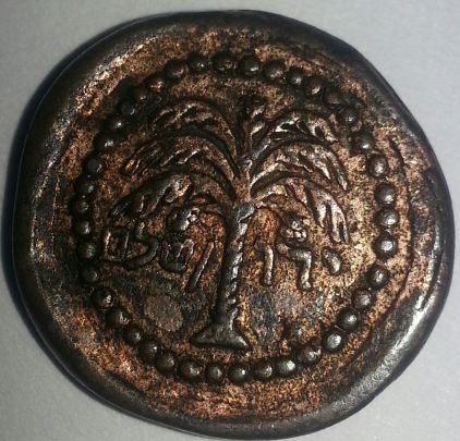 Unidentified Coin - Palm Tree/Grapes? - Coin Community Forum