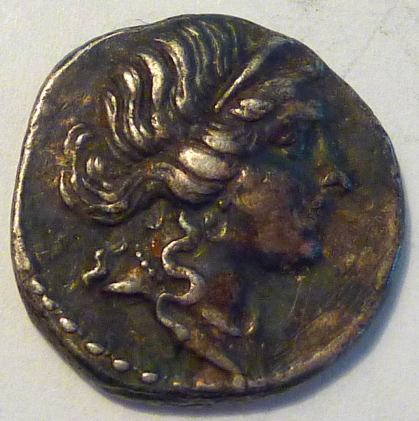 Julius Caesar Real Or Fake? - Coin Community Forum