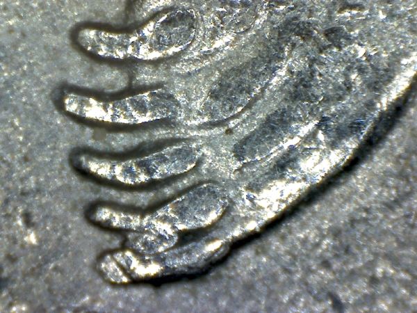 2008-P Alaska Quarters With Claw Errors - Coin Community Forum