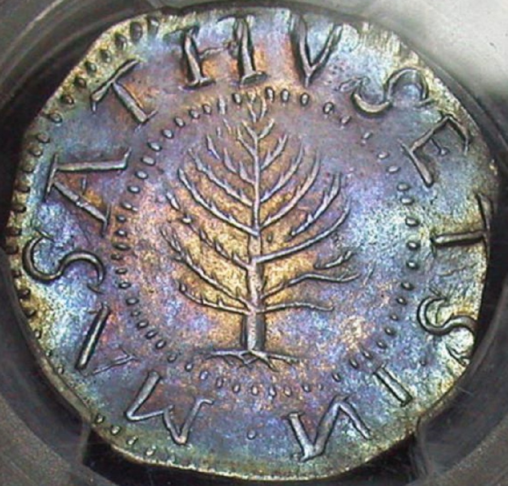 1652 Massachusetts Pine Tree Shilling - Coin Community Forum