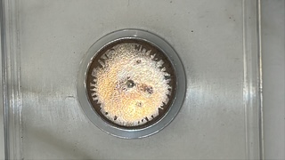 1983-P Dime Misstrike? Blank Reverse. - Coin Community Forum