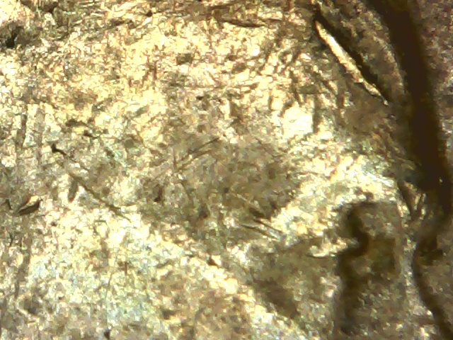 1952-S Lincoln Wc Repunched Mint Mark / RPM - Coin Community Forum