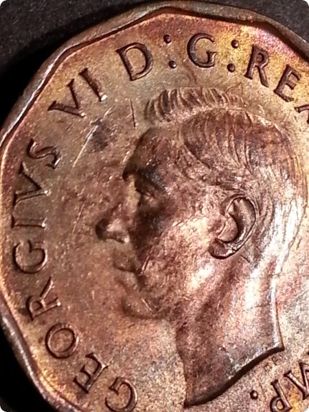 Missing Nose Bridge - Coin Community Forum