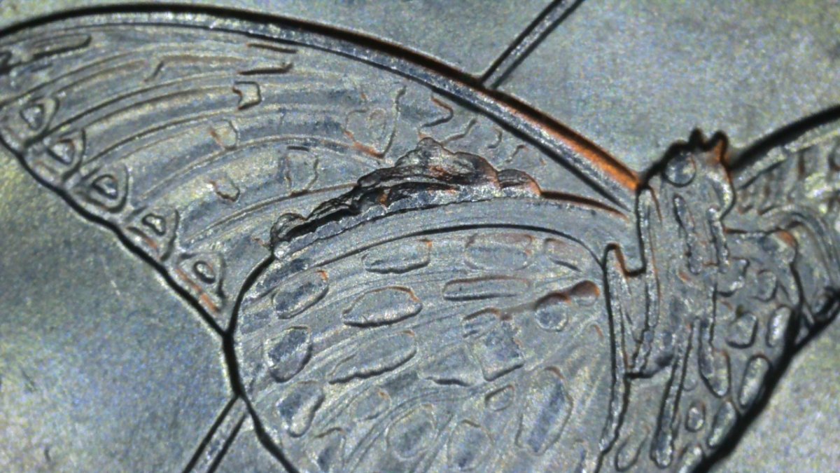 2020 Kansas Tallgrass Prairie Butterfly Quarter, Cud Error? - Coin ...